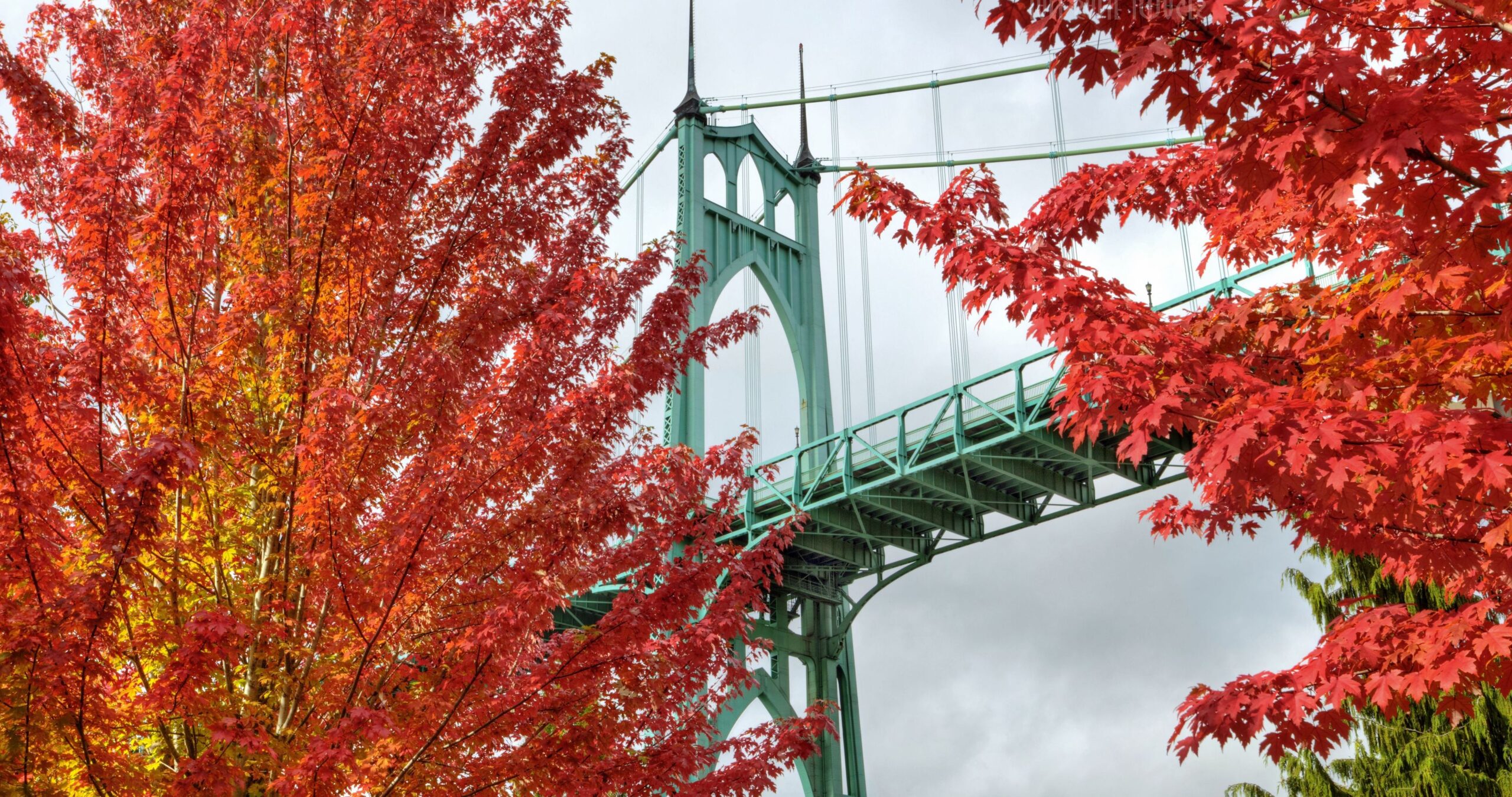 Things to do in the month of October: Portland Edition - Where To Eat Guide
